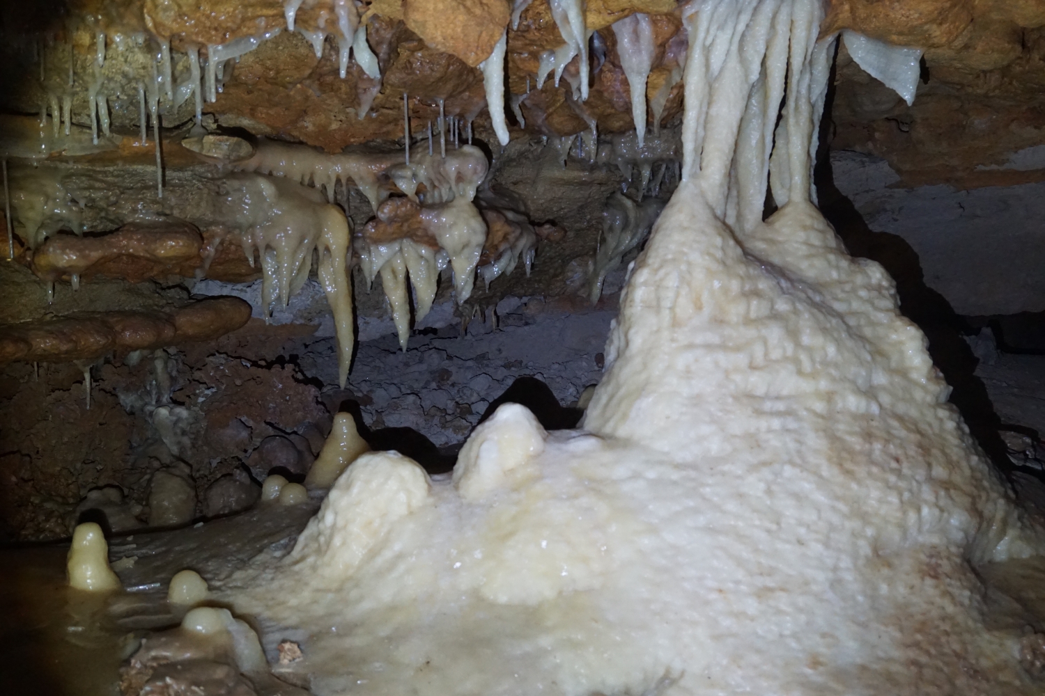 Groups – Inner Space Cavern