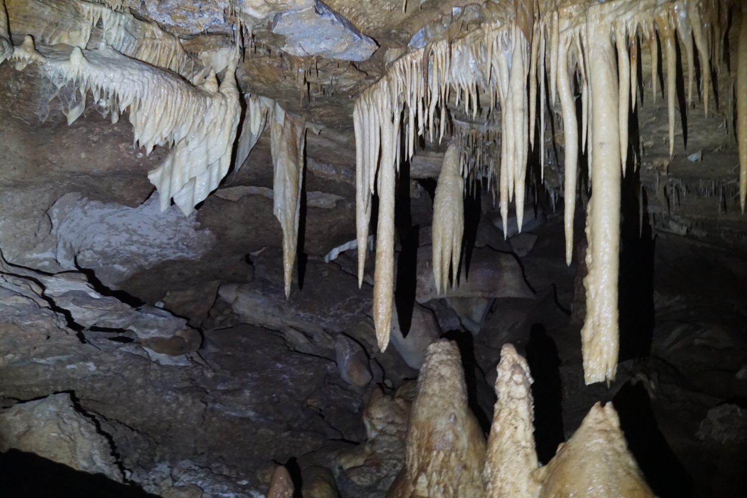 Tours/Prices – Inner Space Cavern