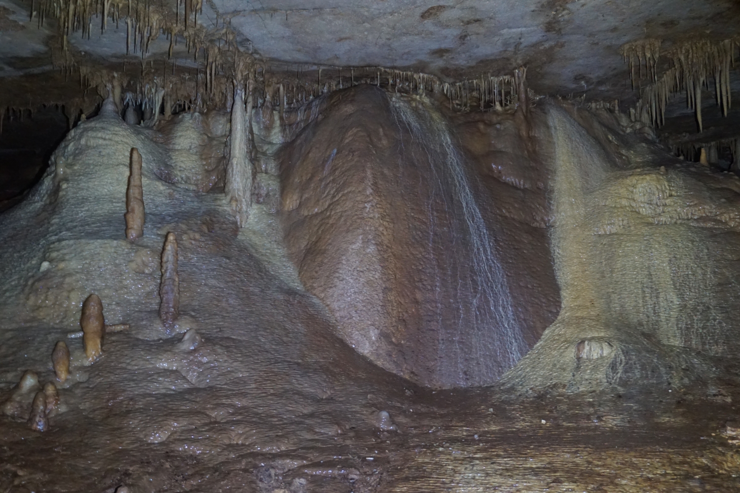 Scout Groups – Inner Space Cavern