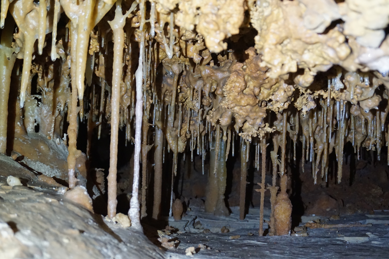 Birthday – Inner Space Cavern